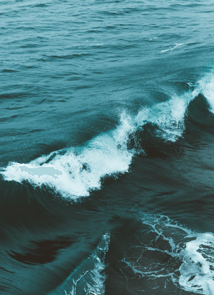 How to Survive a Rip Current: Know the signs Before entering the water.