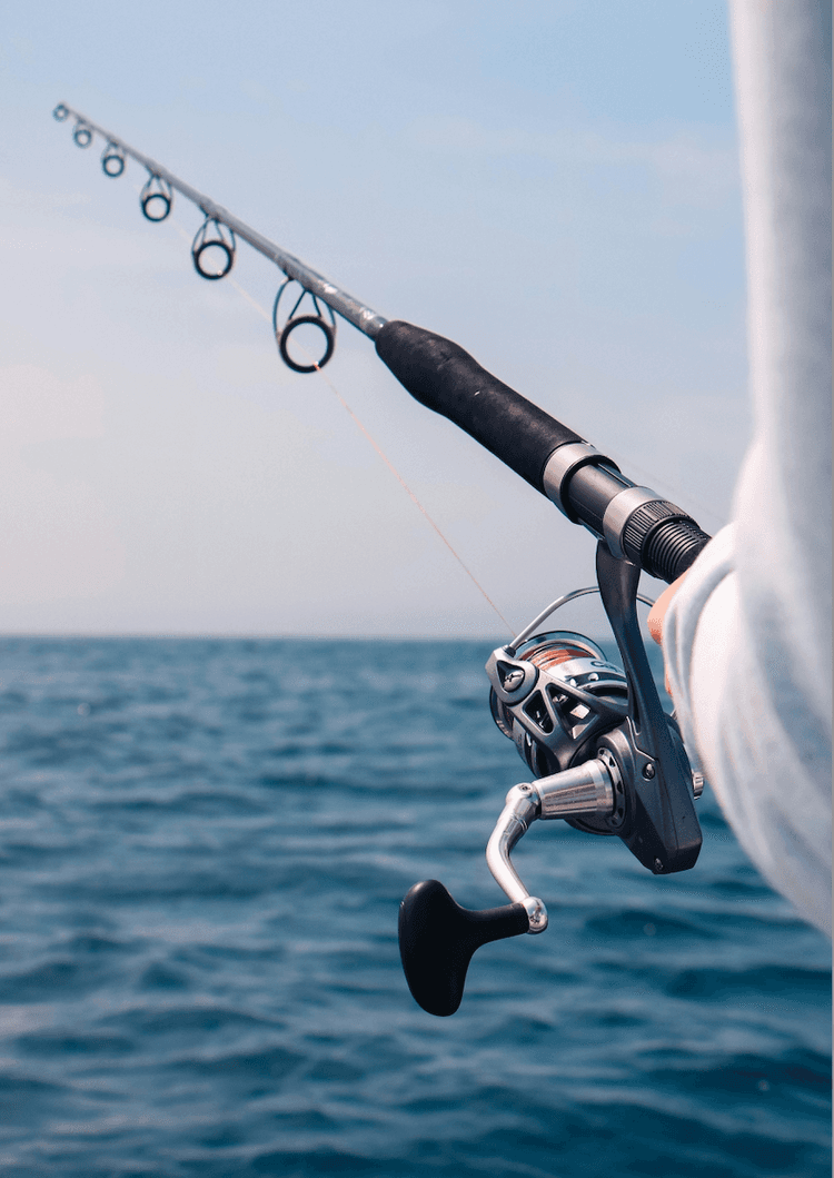 Deep Sea Fishing: An open ocean adventure! Tips, gear & destinations