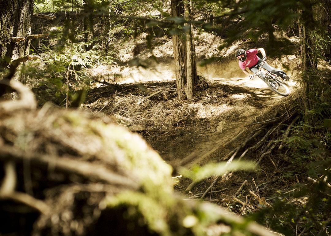 Giant TCR advanced - Road Bikes | SENDY