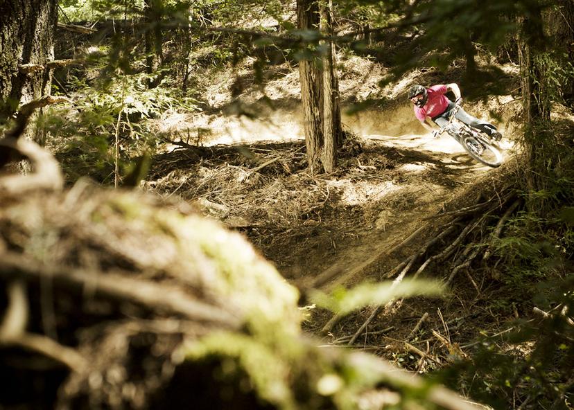 Giant TCR advanced - Road Bikes | SENDY